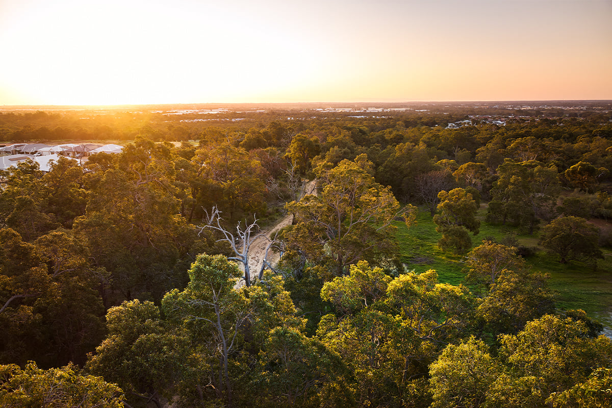 News and Blogs | Bushmead